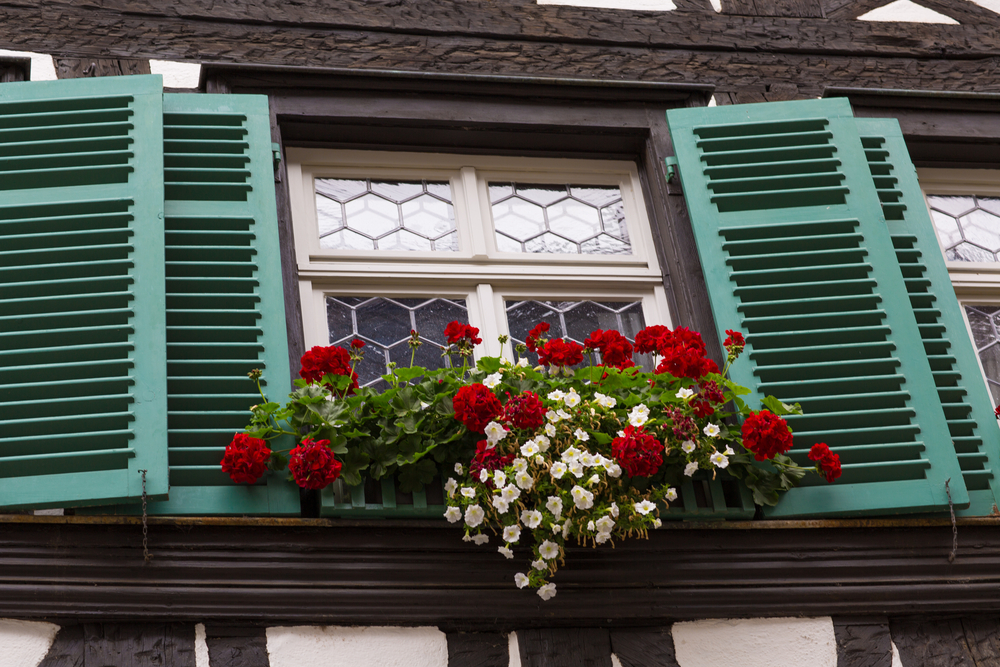 Fensterladen » Preise, Kosten, Sparmöglichkeiten und mehr