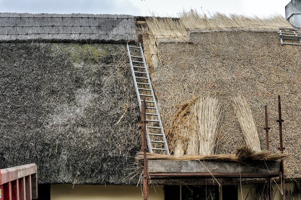 Reetdach » Welche Kosten entstehen für Bau und Instandhaltung?