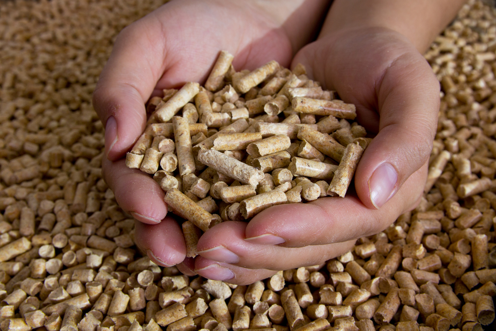 Holzpellets » Kosten, Preisbeispiele und mehr
